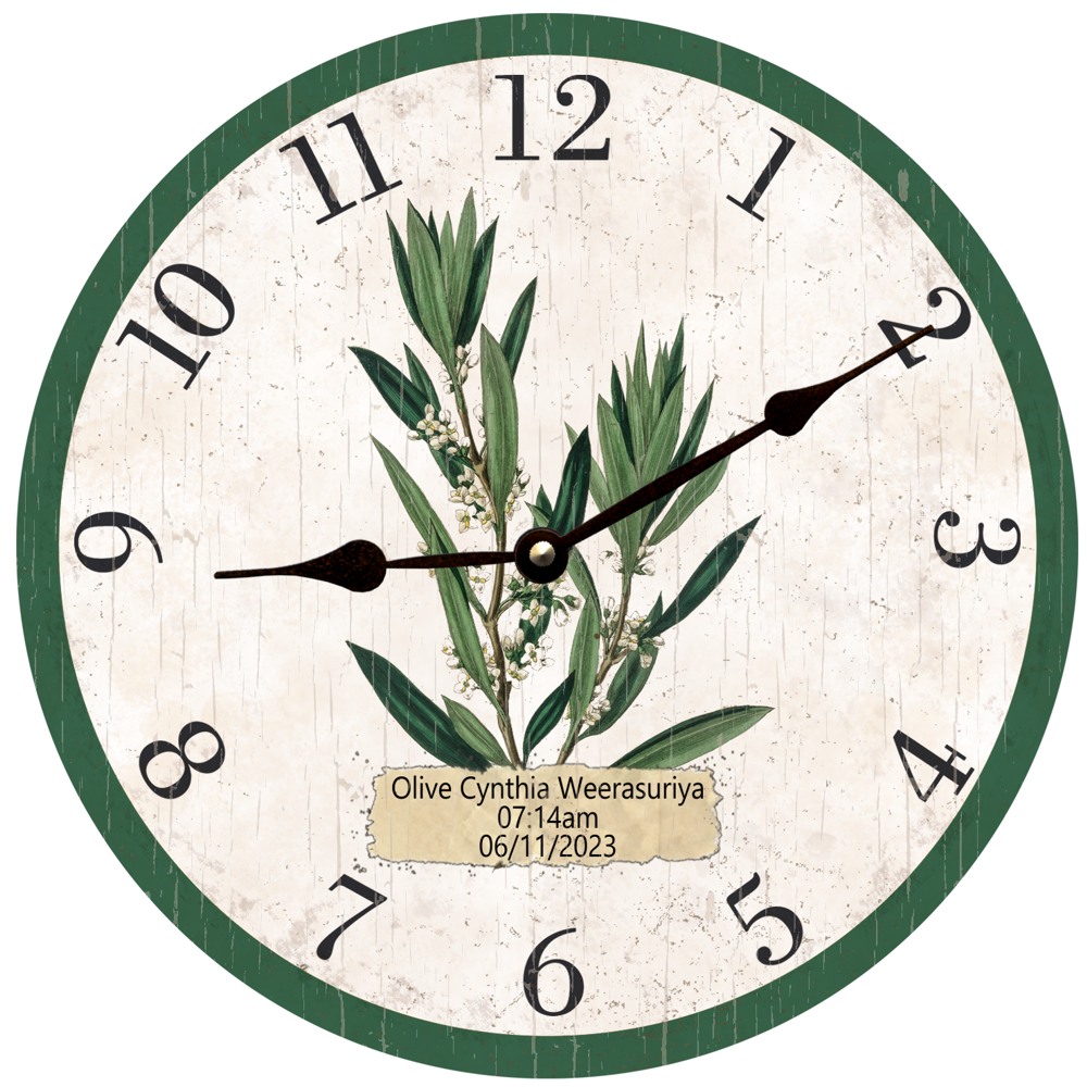 Kitchen Clocks – Time Flies Clocks