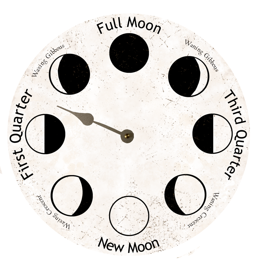 Lunar Phase Clock- White Moon Phase Wall Clock | Time Flies Clocks