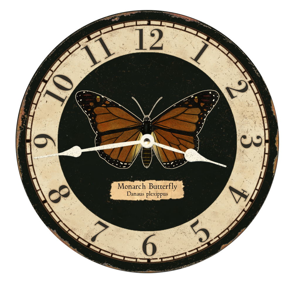 Monarch Butterfly Clock | Time Flies Clocks