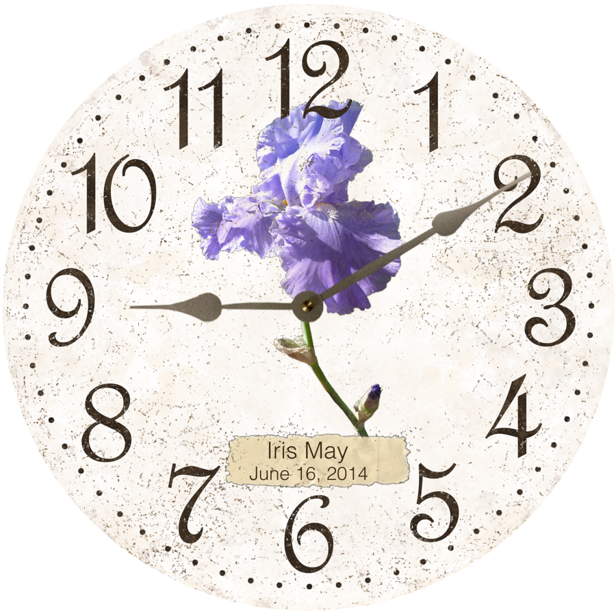 Iris Clock- Personalized Iris Wall Clock | Time Flies Clocks